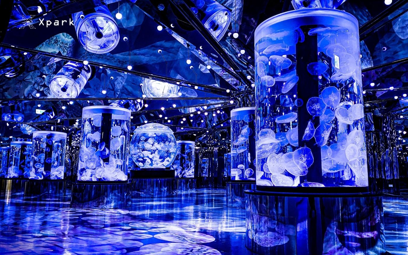 KKgift獨家｜桃園青埔｜Xpark 都會型水生公園成人門票 | LINE 禮物