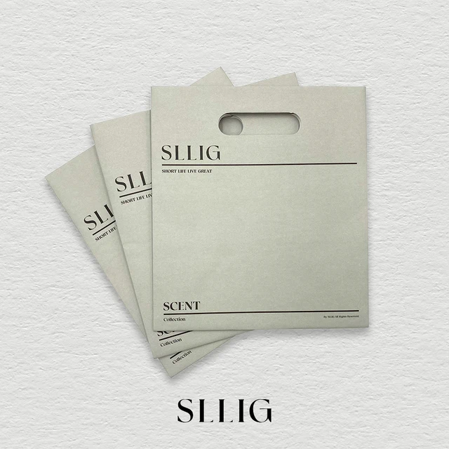 送禮好體面【SLLIG】精美禮品紙袋 (28x25x14 cm) 好友 送禮 包裝 | LINE 禮物