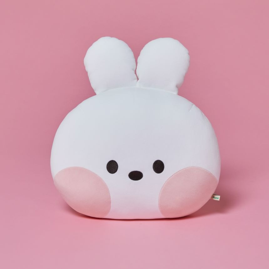 【LINE FRIENDS】minini系列 conini 頭型抱枕 | LINE 禮物