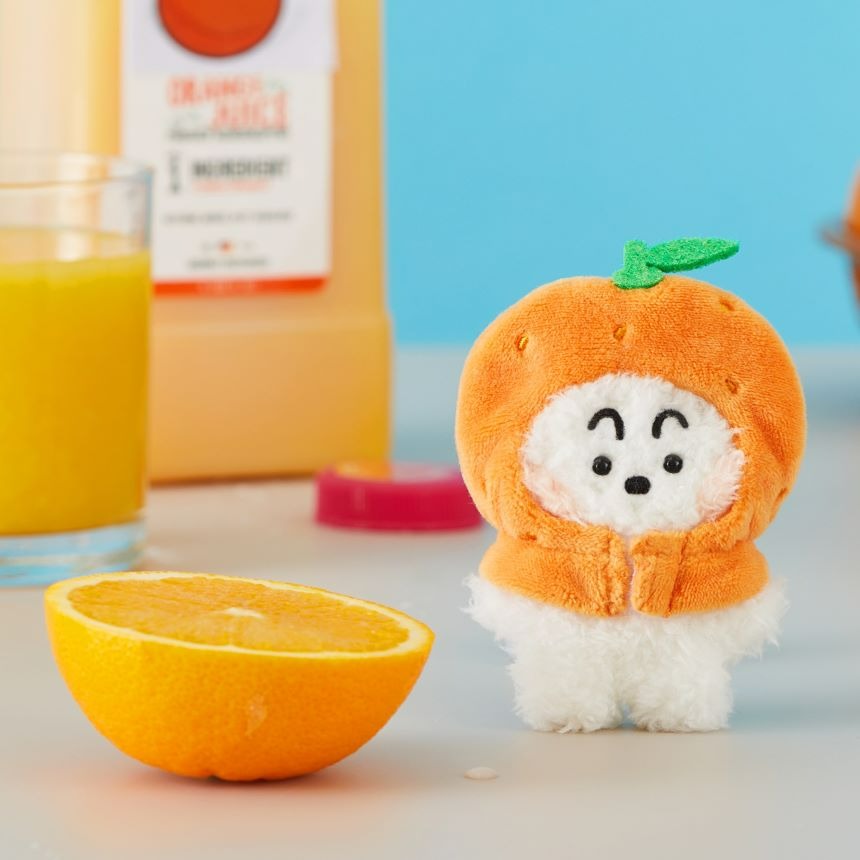 【LINE FRIENDS】MINI MININI conini 水果絨毛掛飾 | LINE 禮物