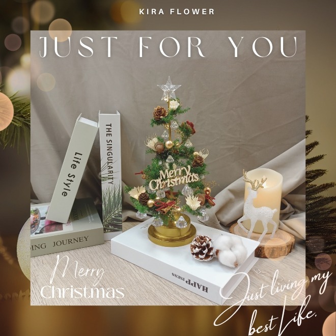 【KIRA與花花藝】聖誕獻禮．水晶LED燈永生花聖誕樹/雪松綠/聖誕禮物/聖誕節/交換禮物/聖誕樹 | LINE 禮物