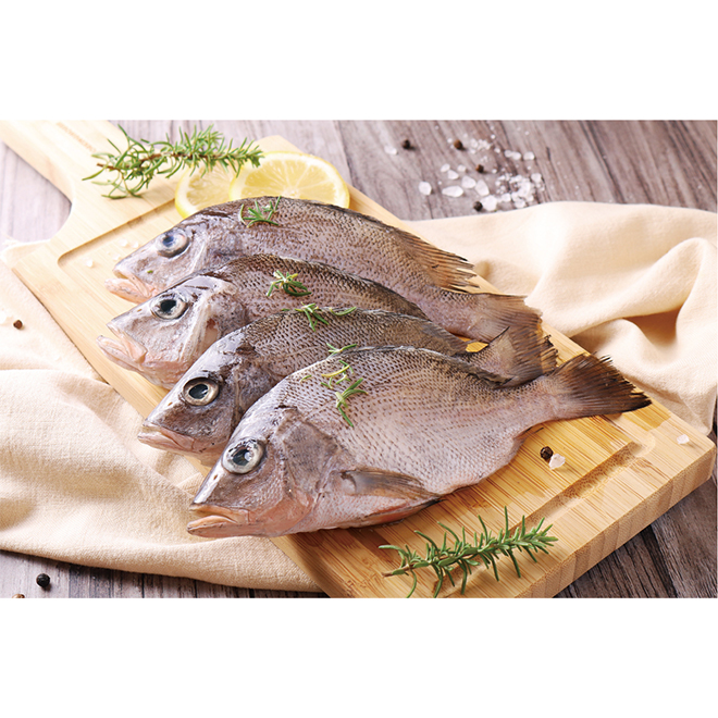 KKgift｜產銷履歷認證｜超值7入鮮魚箱｜全台宅配 (輸入序號即可宅配到府) | LINE 禮物